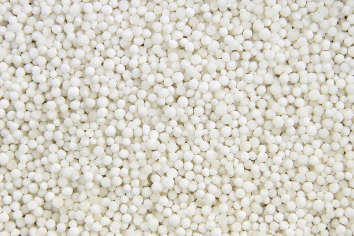 Tapioca :: Alquimia do Eu